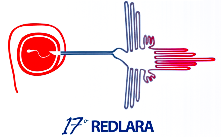 17 REDLARA – REDLARA